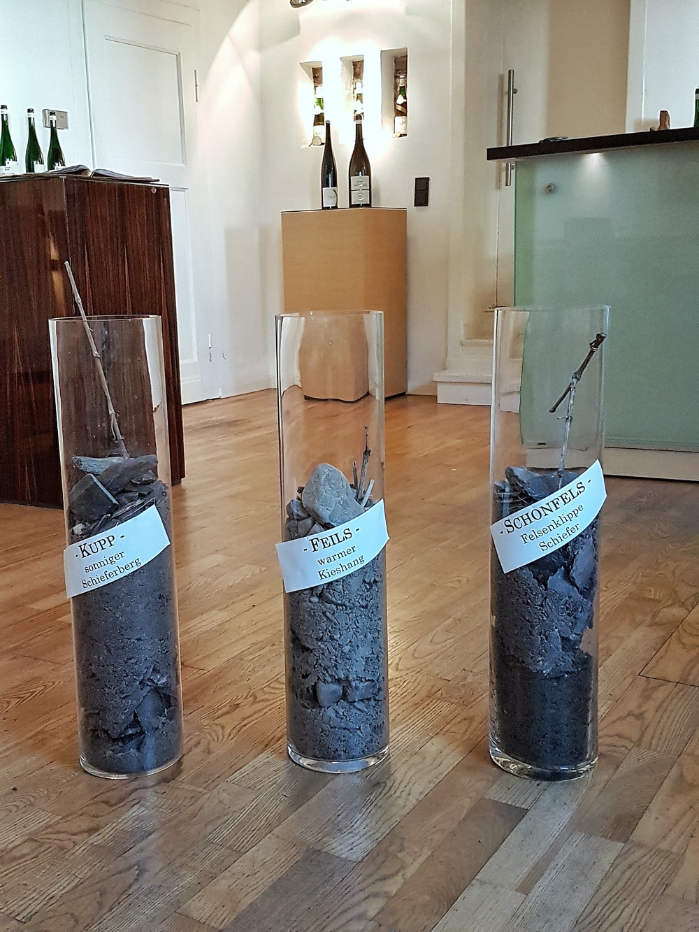 Weingut Peter Lauer | Florian Lauer im Interview | WEIN VERSTEHEN