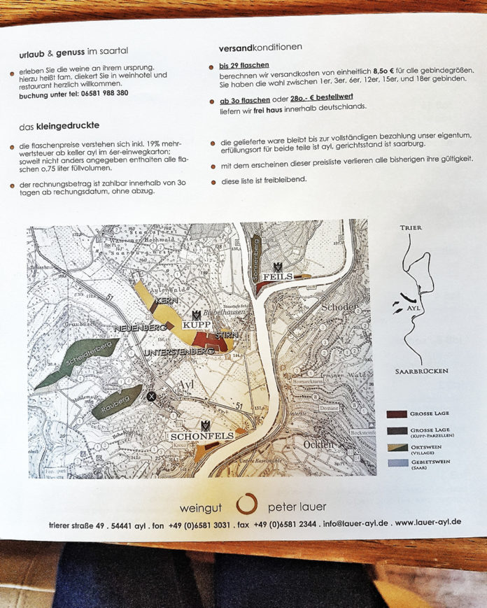 Weingut Peter Lauer | Florian Lauer im Interview | WEIN VERSTEHEN