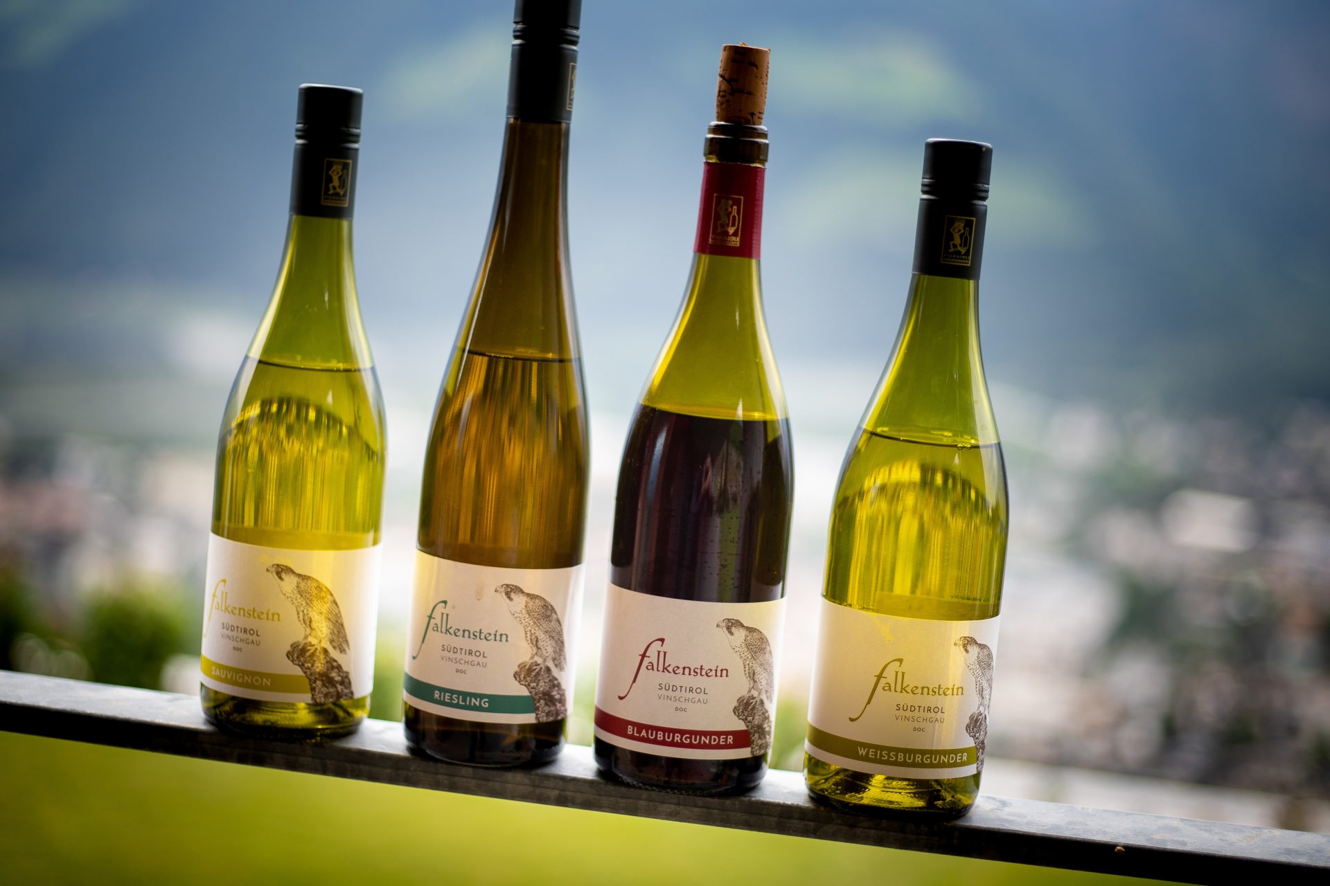 Weingut Falkenstein | Magdalena Pratzner im Interview